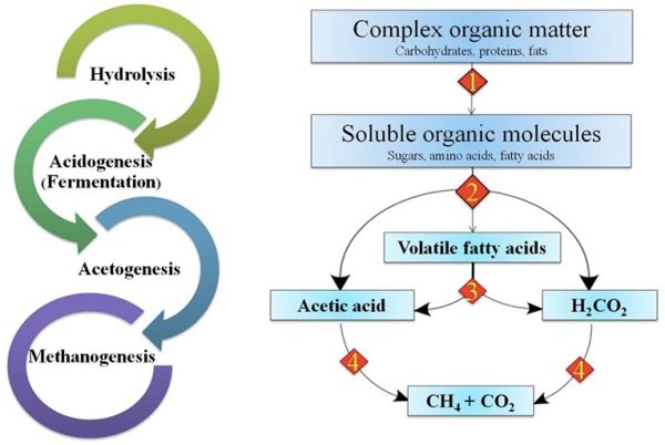 Biomass to Biogas Anaerobic Digestion – Nano-Fertilizer — Clean Energy ...